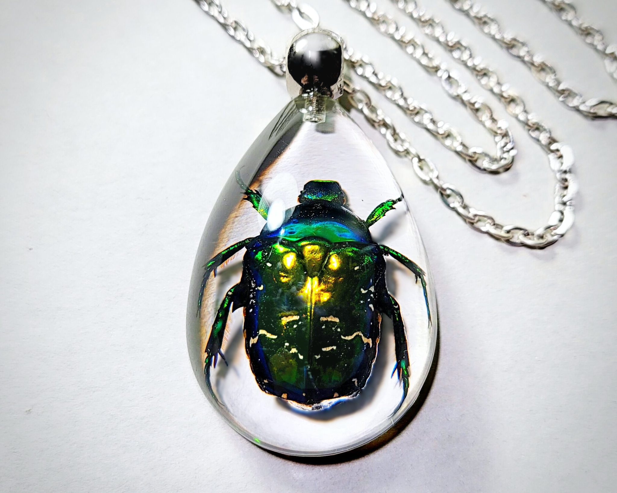 Real Insect Jewelry - Insects In Resin, Insect necklaces and pendants