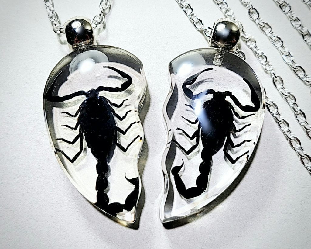 Black Scorpion Heart Set, Real Insect Jewelry, Heterometrus spinifer ...