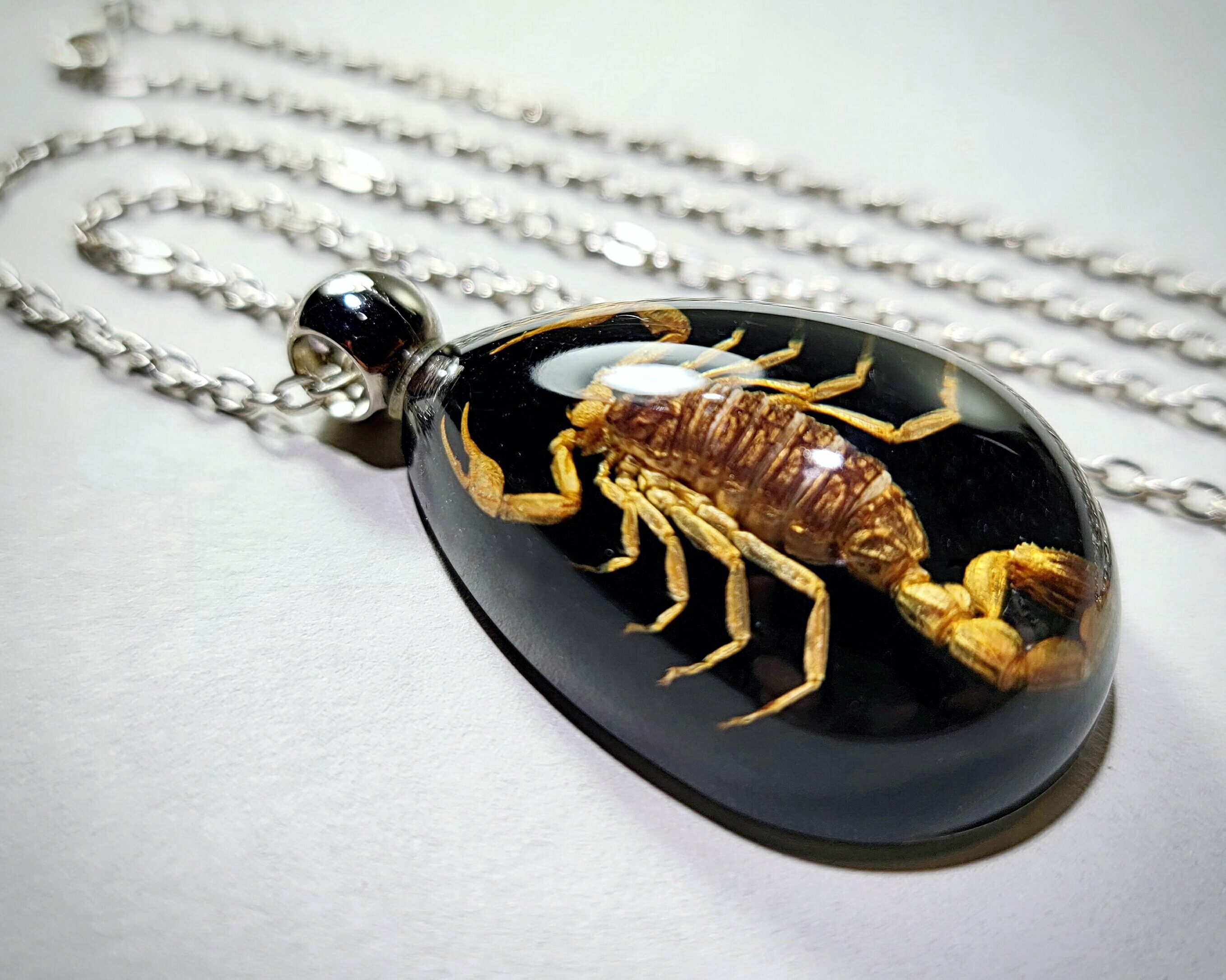 Yellow Scorpion Necklace, Real Insect Jewelry - Insects In Resin