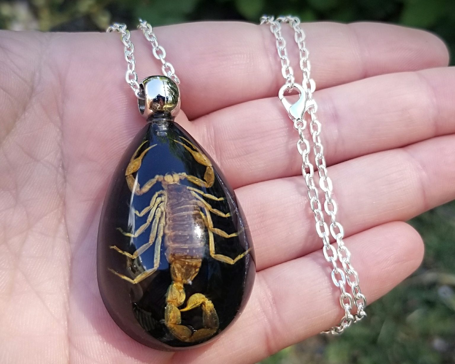 Yellow Scorpion Necklace, Real Insect Jewelry, Mesobuthus martensii ...