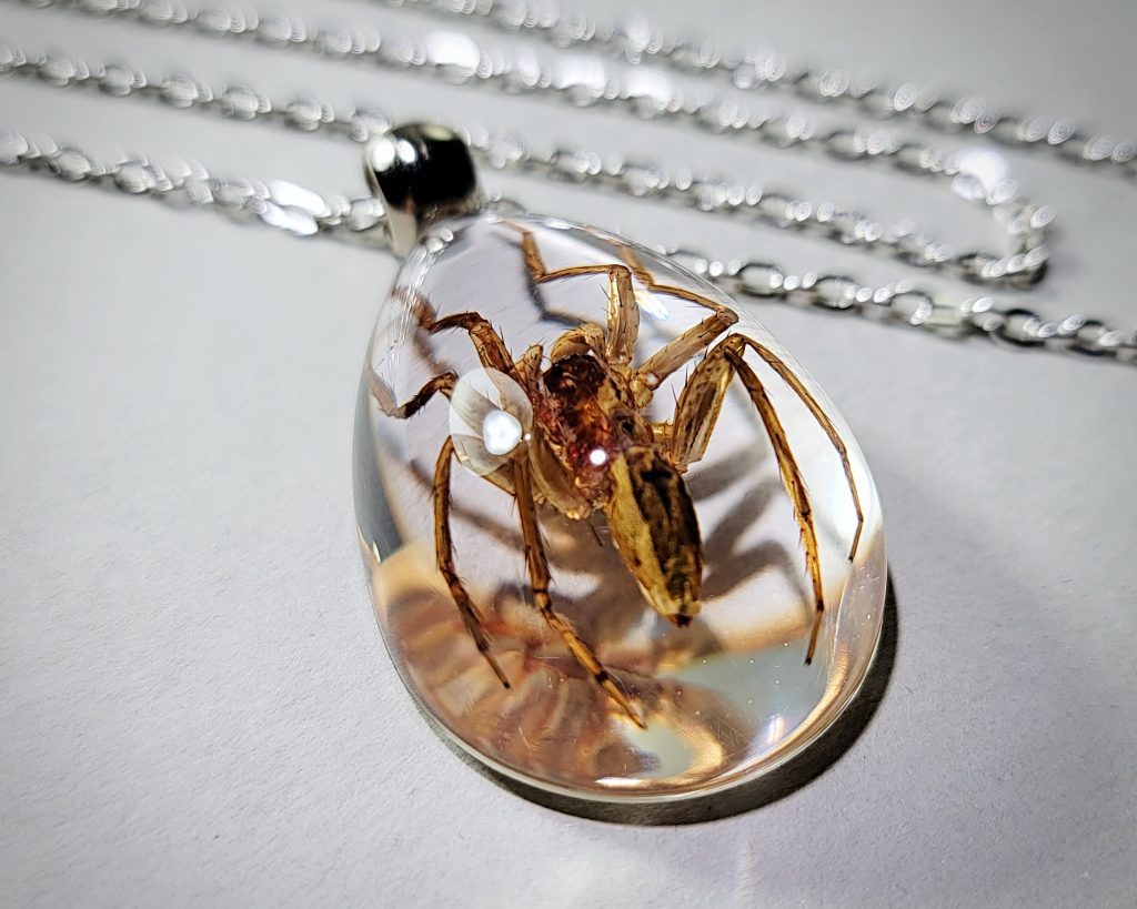 Spider Necklace, Real Insect Jewelry - Insects In Resin