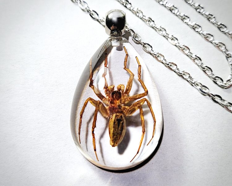 Real Insect Jewelry - Insects In Resin, Insect necklaces and pendants