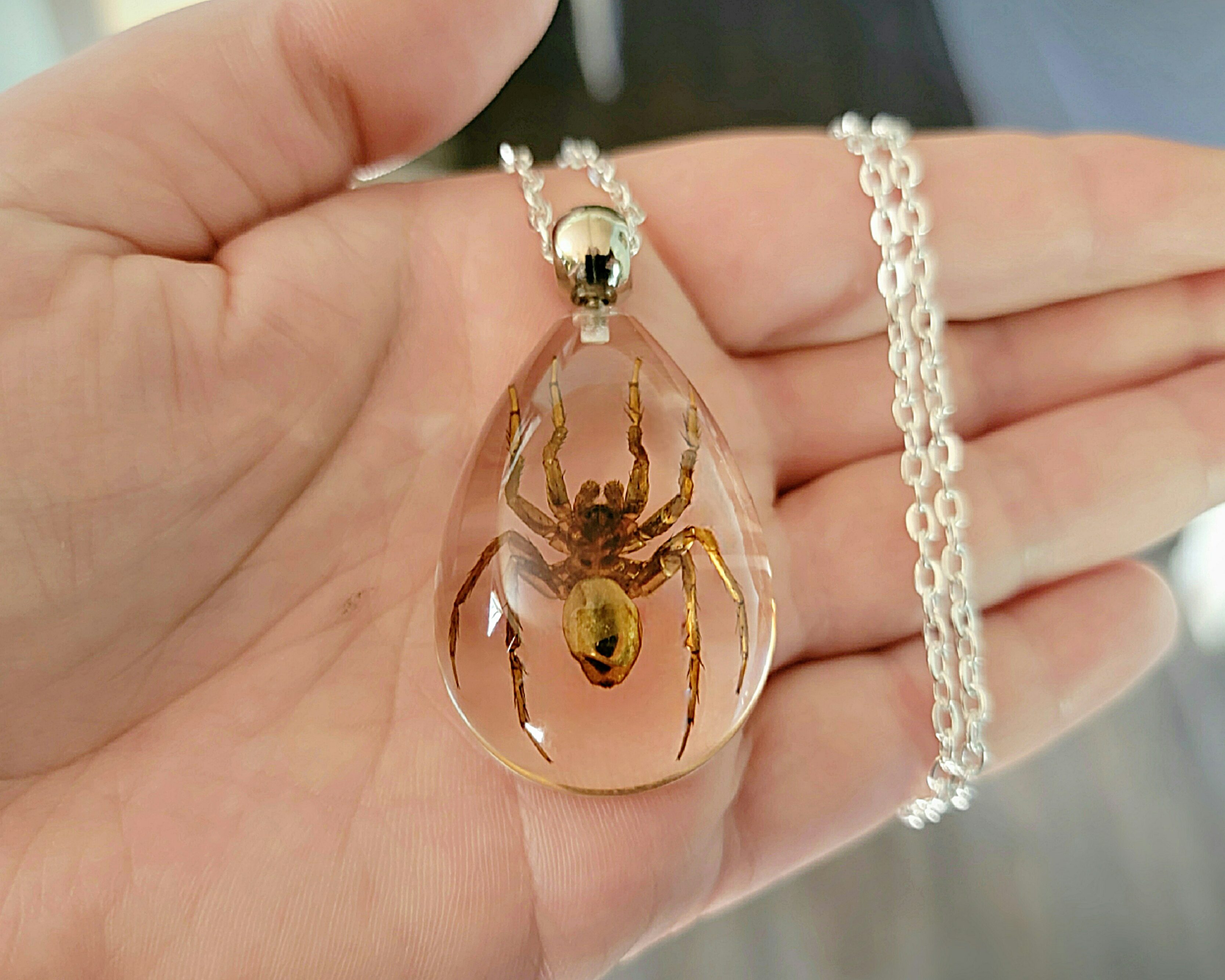 Spider Necklace, Real Insect Jewelry - Insects In Resin