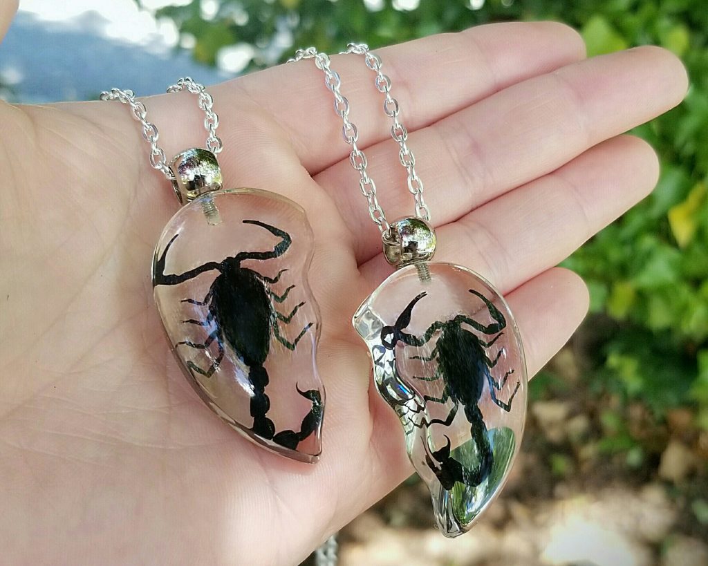 Black Scorpion Necklace, Real Insect Jewelry, Heterometrus spinifer ...