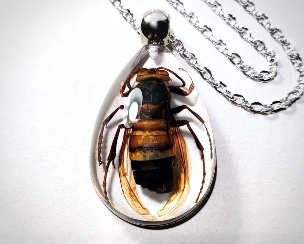 Hornet Necklace, Real Insect Jewelry - Insects In Resin