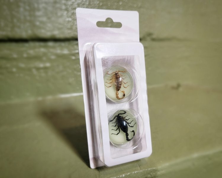 Scorpion Magnet Set, Glow in the Dark Fridge Magnet - Insects In Resin