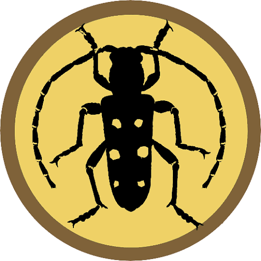 Discounts & Deals Archives - Insects In Resin