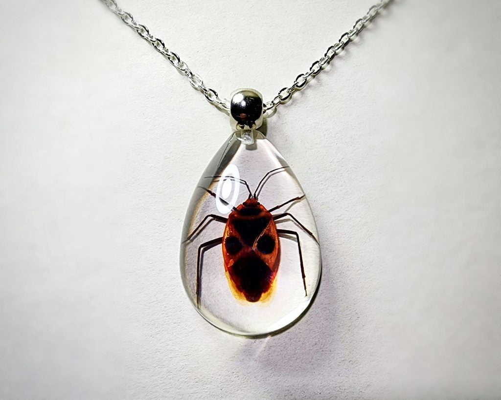 Milkweed Bug Necklace, Real Insect Jewelry - Insects In Resin