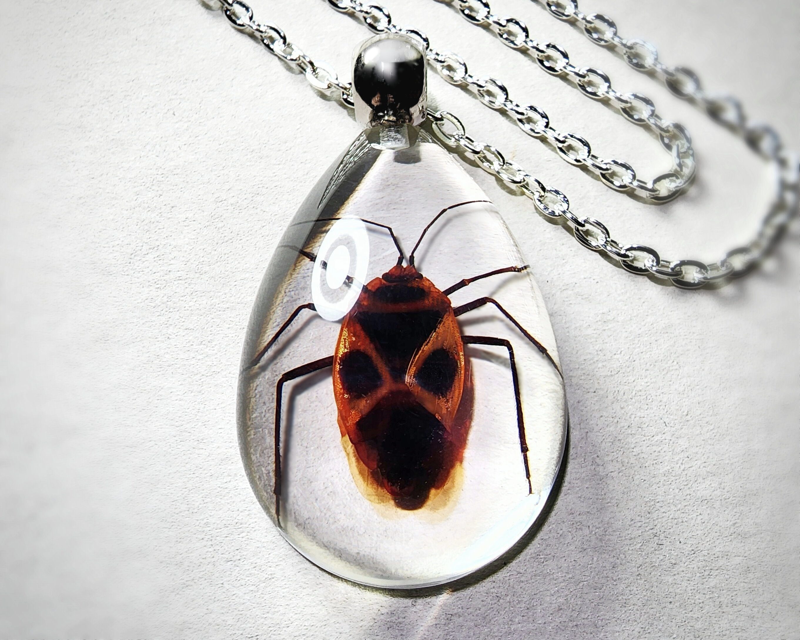 Real Insect Jewelry - Insects In Resin, Insect necklaces and pendants