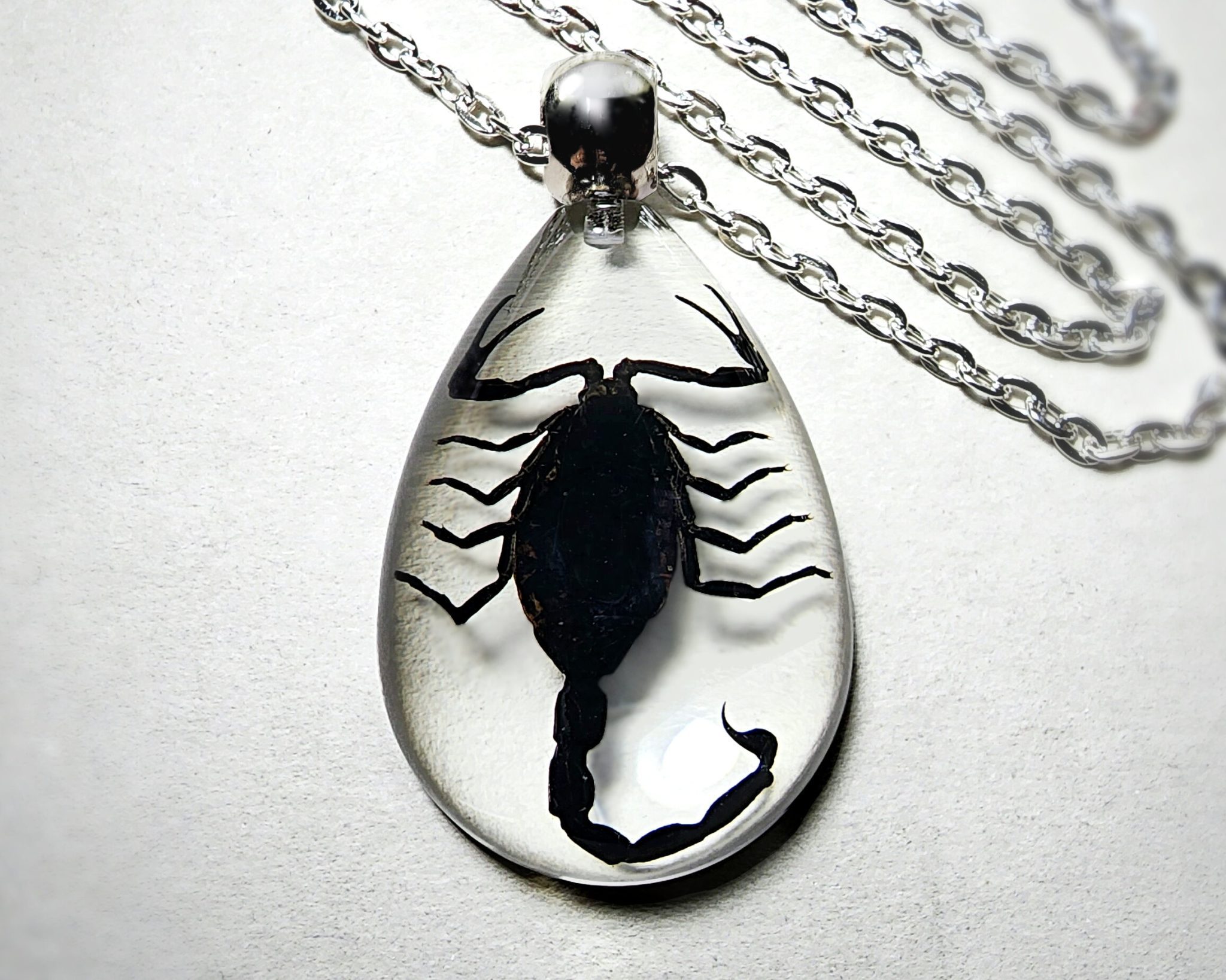 Real Insect Jewelry - Insects In Resin, Insect necklaces and pendants
