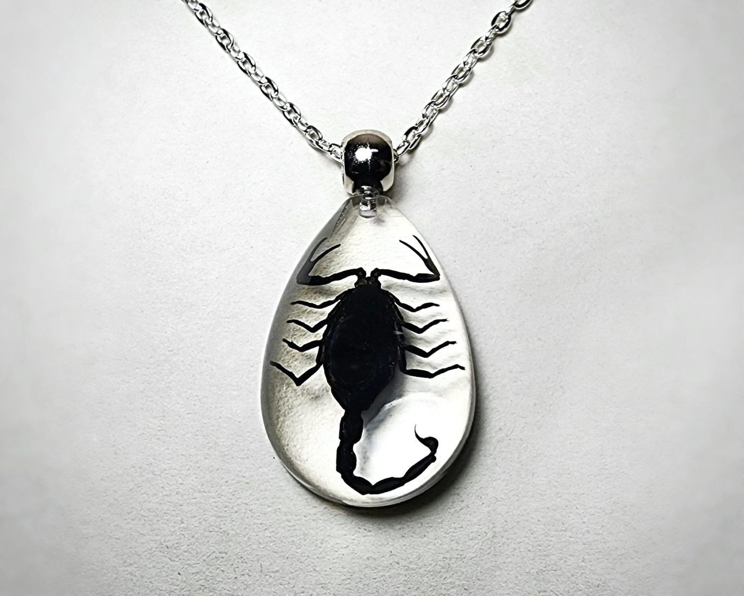 Black Scorpion Necklace, Real Insect Jewelry, Heterometrus spinifer ...