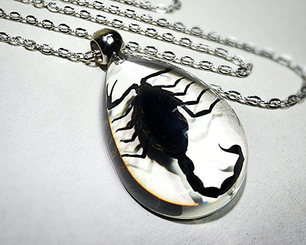 Black Scorpion Necklace, Real Insect Jewelry, Heterometrus spinifer ...