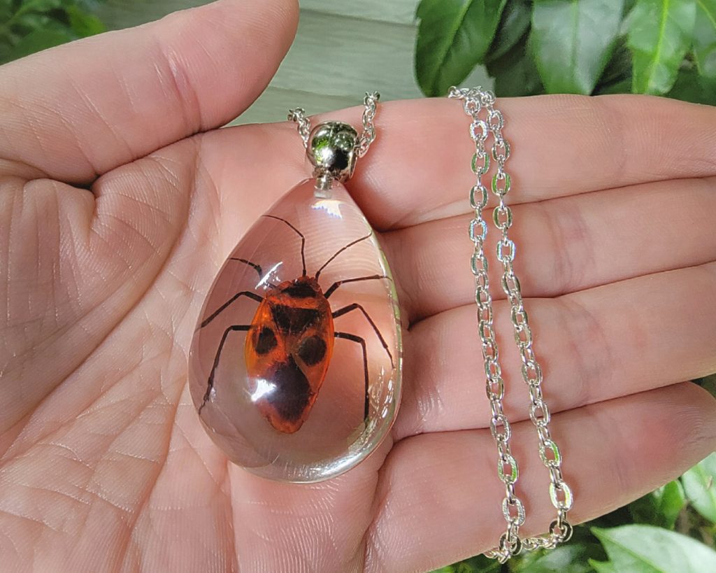 Milkweed Bug Necklace, Real Insect Jewelry - Insects In Resin