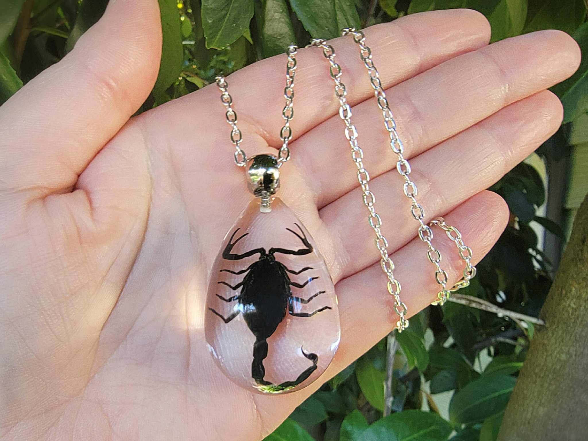 Black Scorpion Necklace, Real Insect Jewelry, Heterometrus spinifer ...