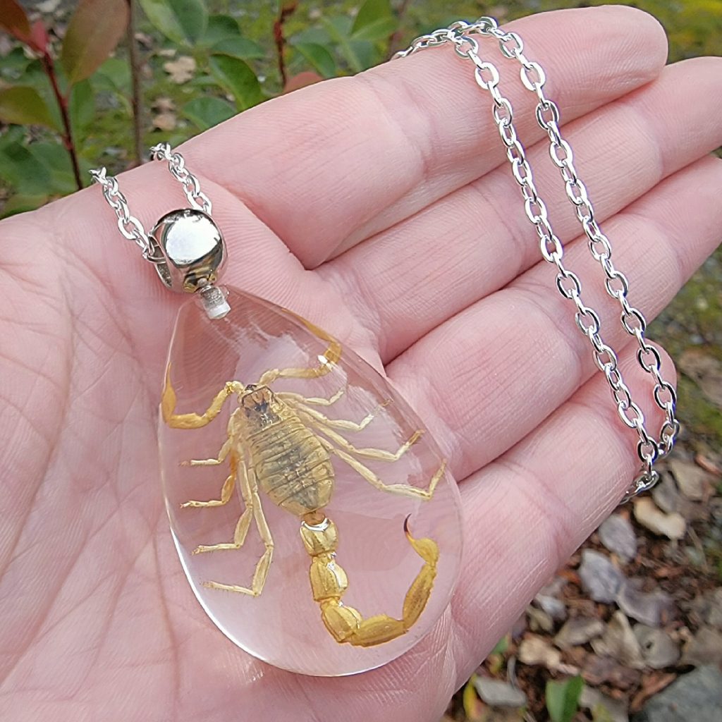 Yellow Scorpion Necklace, Real Insect Jewelry - Insects In Resin