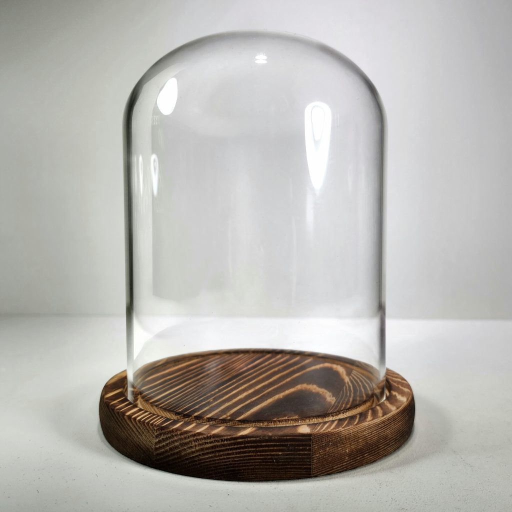 Glass Display Dome, Glass and Wood Cloche - Insects In Resin