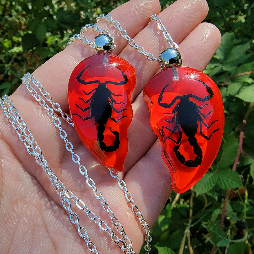 Red Heart Black Scorpion Set, Real Insect Jewelry, Heterometrus ...