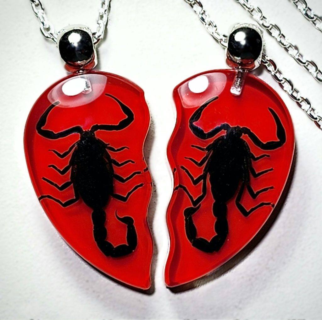 Red Heart Black Scorpion Set, Real Insect Jewelry, Heterometrus ...