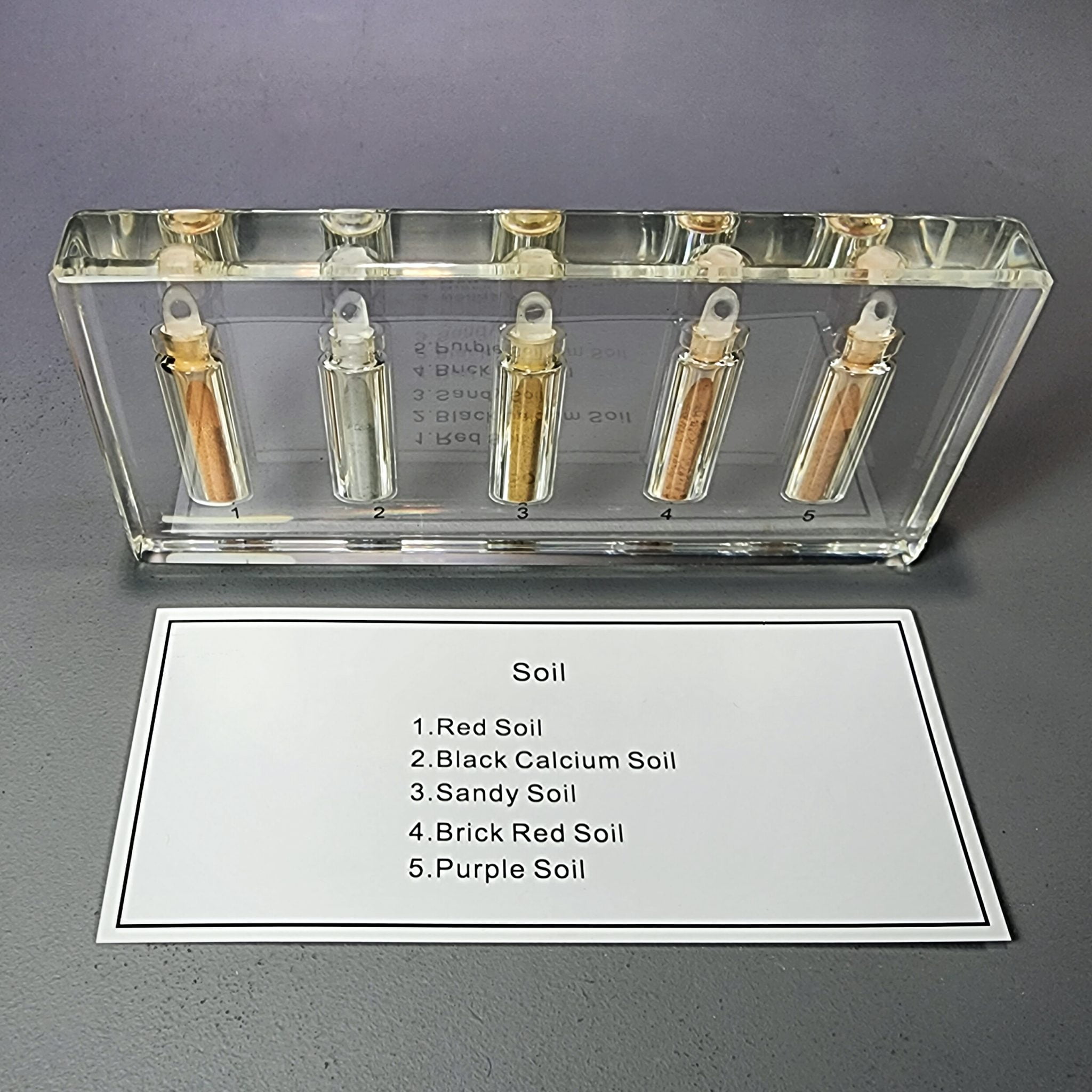 Soil Samples in Resin - Insects In Resin