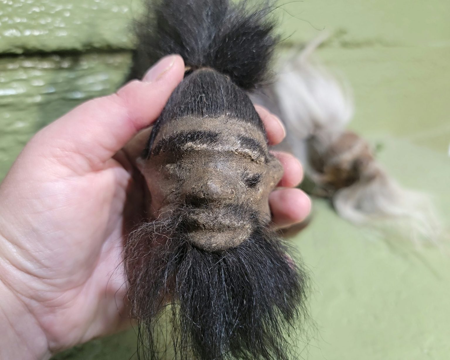 Miniature Shrunken Head, Real Leather and Hair, 3 Inch - Insects In Resin