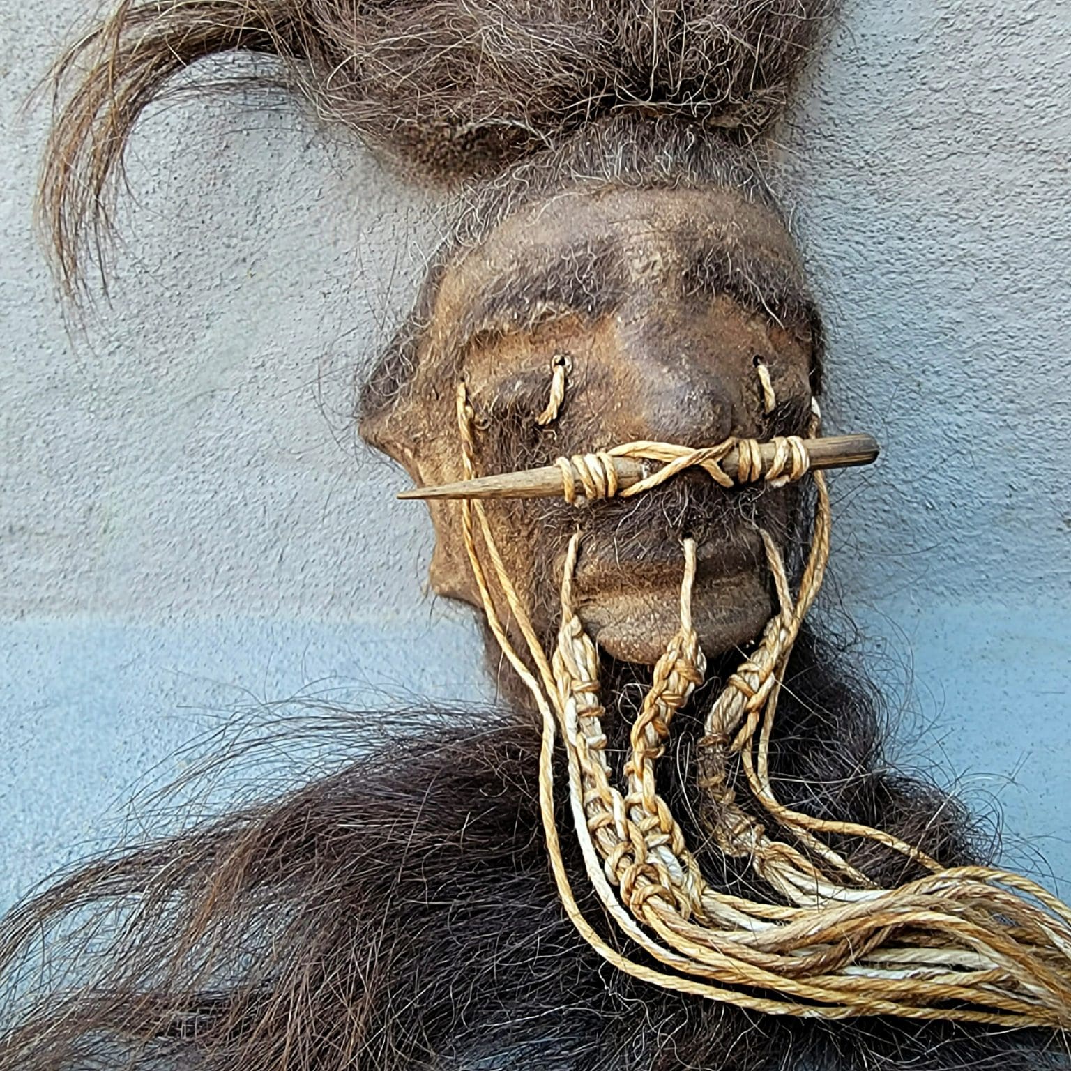 Shrunken Head, Real Leather and Hair, Medium Sized, 4 Inch - Insects In ...