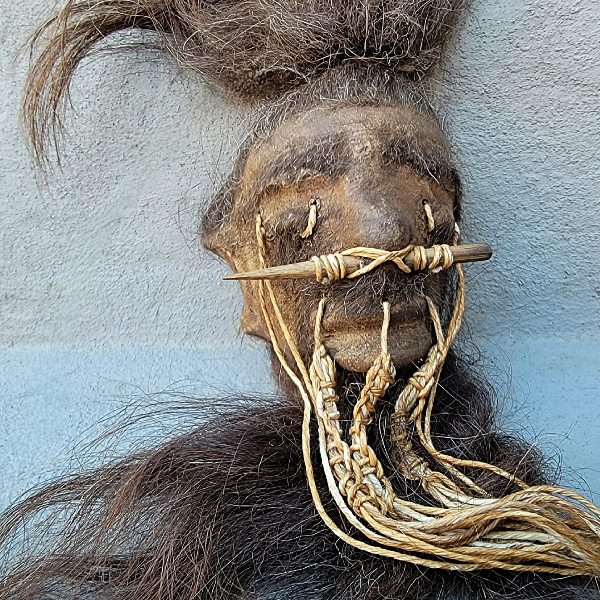 Shrunken Head, Real Leather and Hair, Medium Sized, 4 Inch - Insects In ...