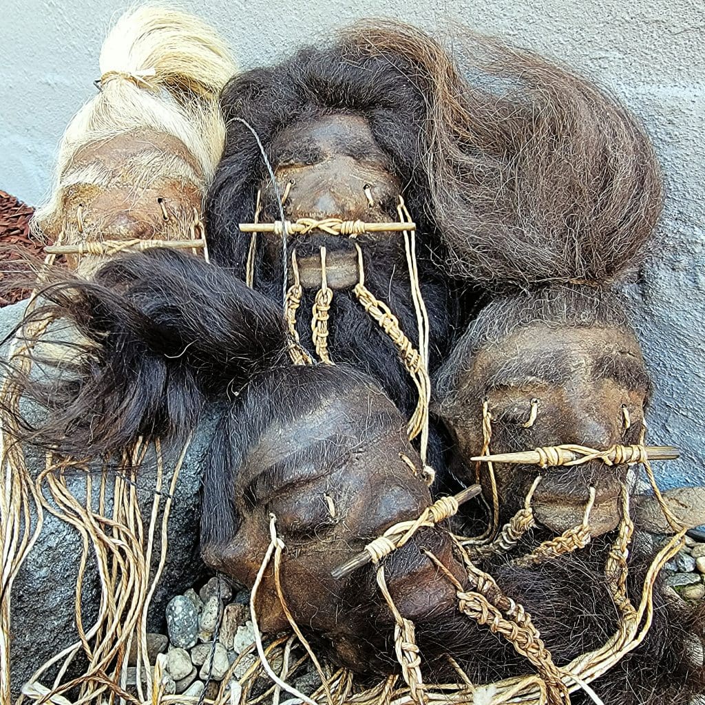 Shrunken Head, Real Leather and Hair, Medium Sized, 4 Inch - Insects In ...