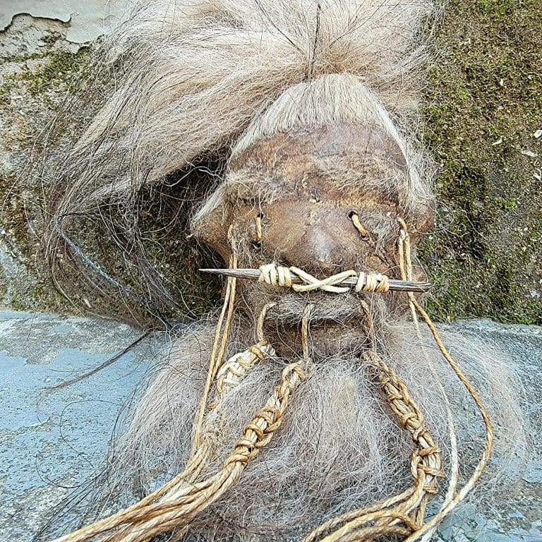 Shrunken Head, Real Leather and Hair, Medium Sized, 4 Inch - Insects In ...