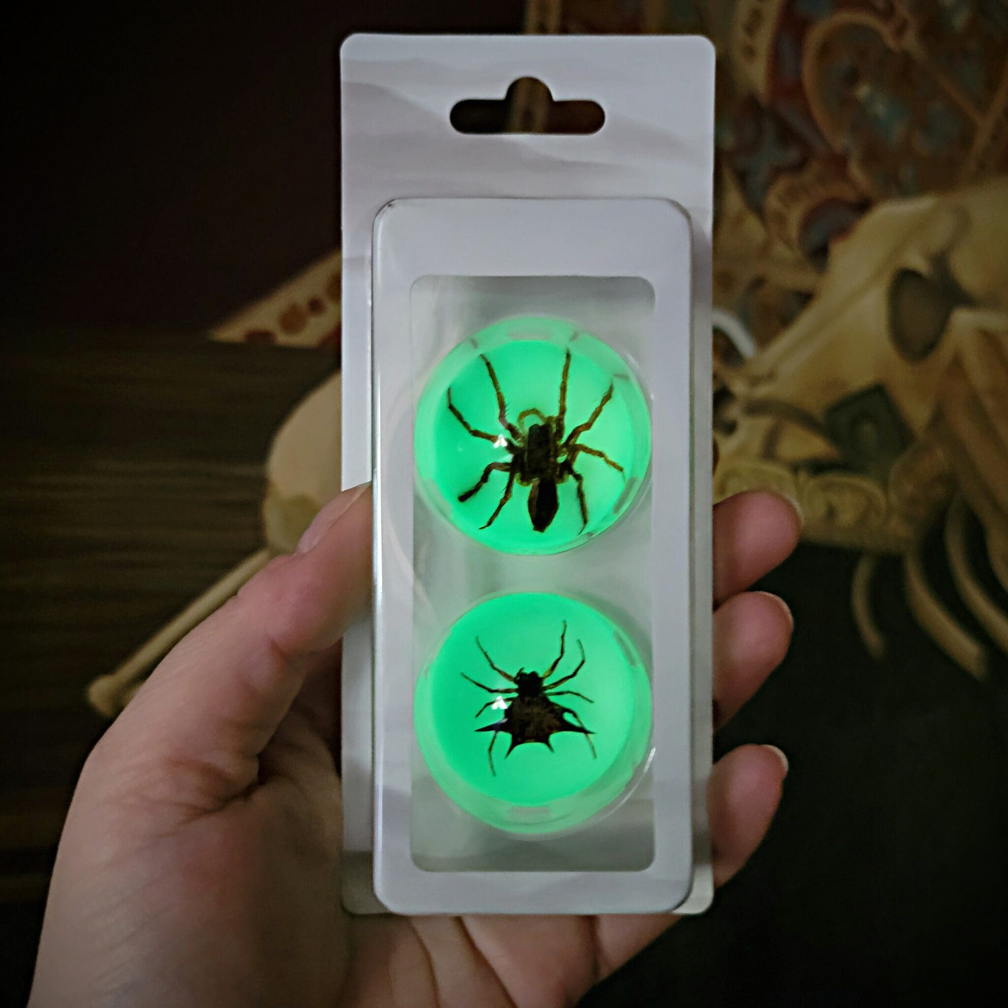 Spider Magnet Set, Glow in the Dark Fridge Magnets - Insects In Resin